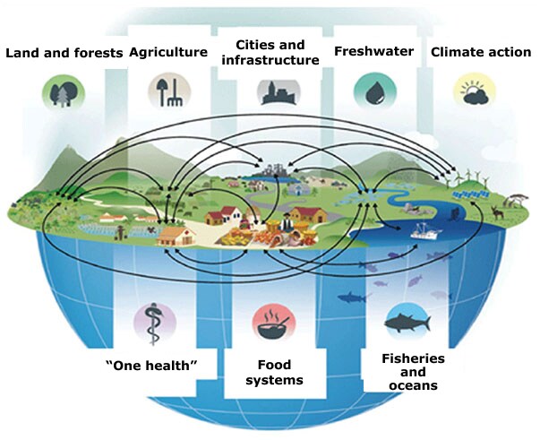 2021 sustainability Activities ｜MISAWA HOME